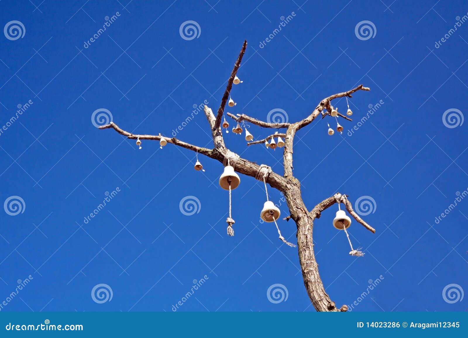 Bells on tree branch stock photo. Image of leaf, close - 14023286
