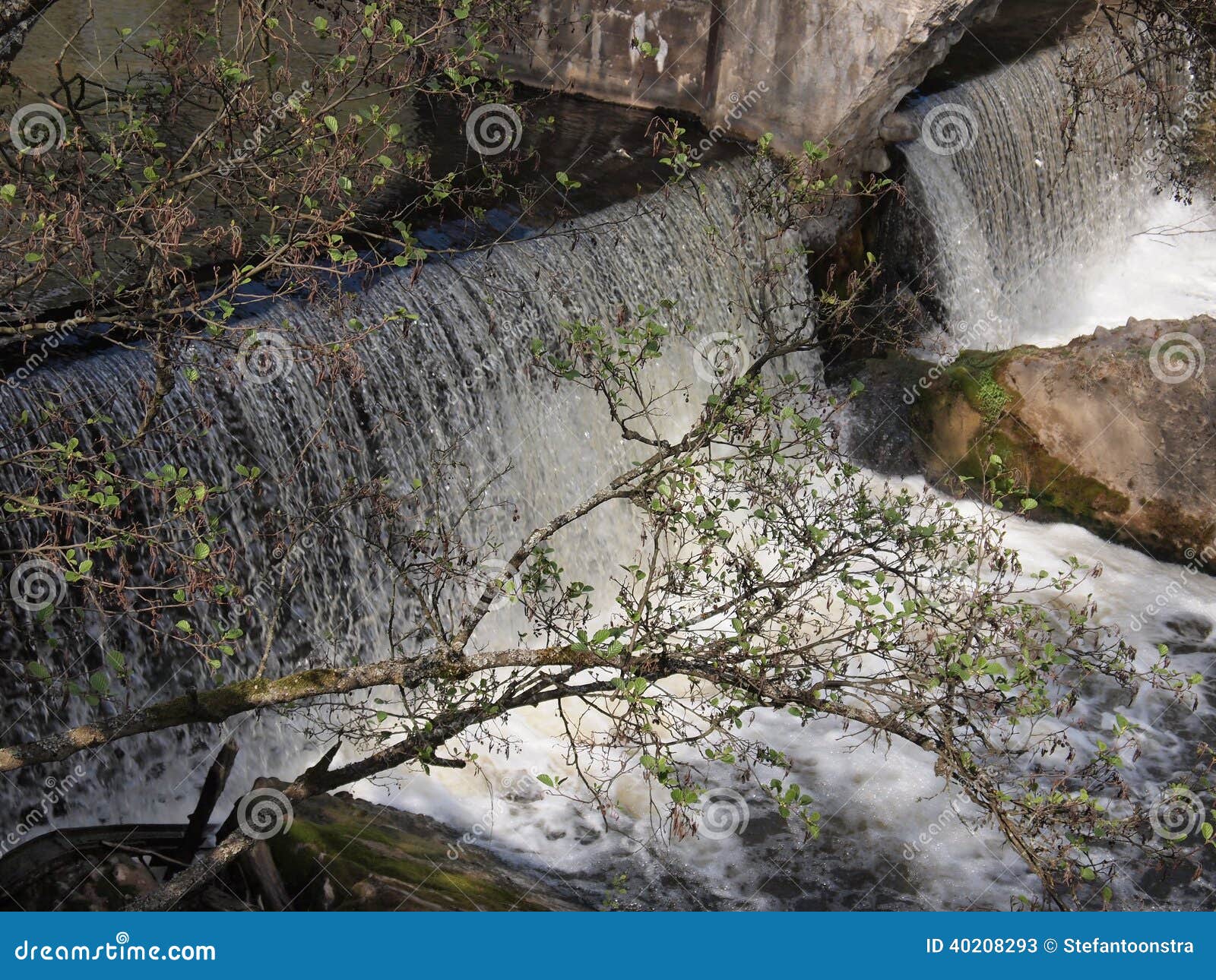 Belmontas Waterfalls (Vilnius, Lithuania) Stock Image - Image of tree ...