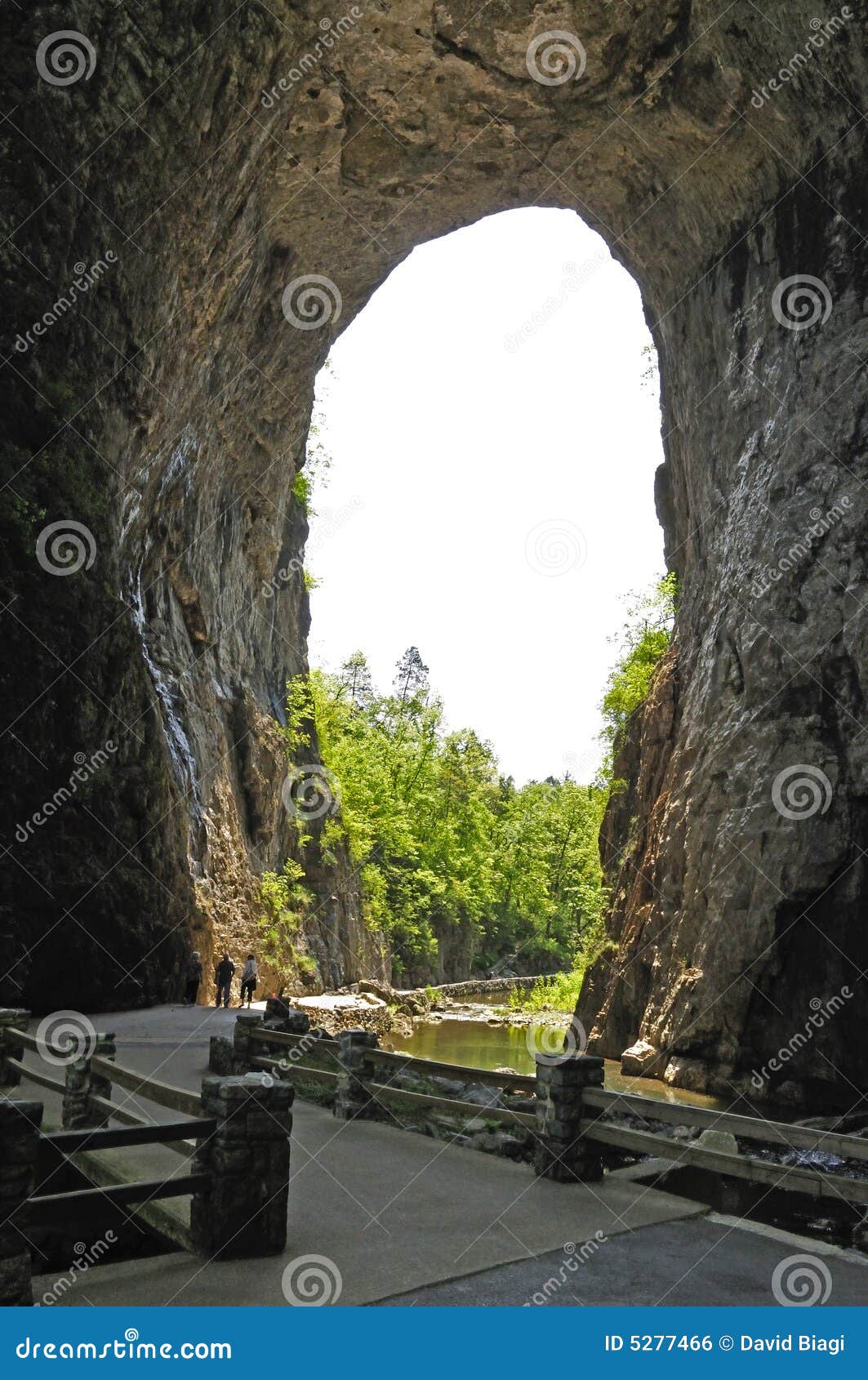 Below the Natural Bridge stock photo. Image of trees, travel - 5277466