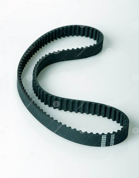 Belt isolated stock photo. Image of rubber, white, ribbed - 2702304