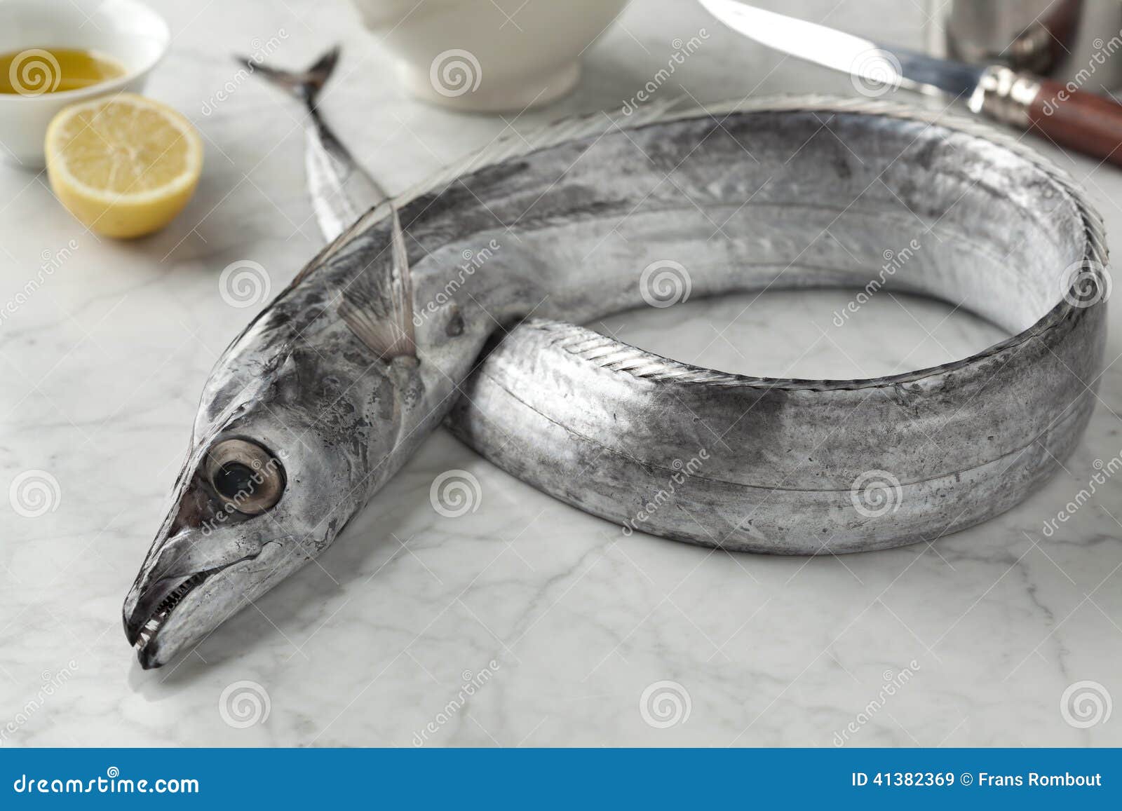 Beltfish 库存图片. 图片 包括有 原始, 新鲜, 食物, 丝带, 海鲜, 纤巧, 海运, 一个 - 41382369