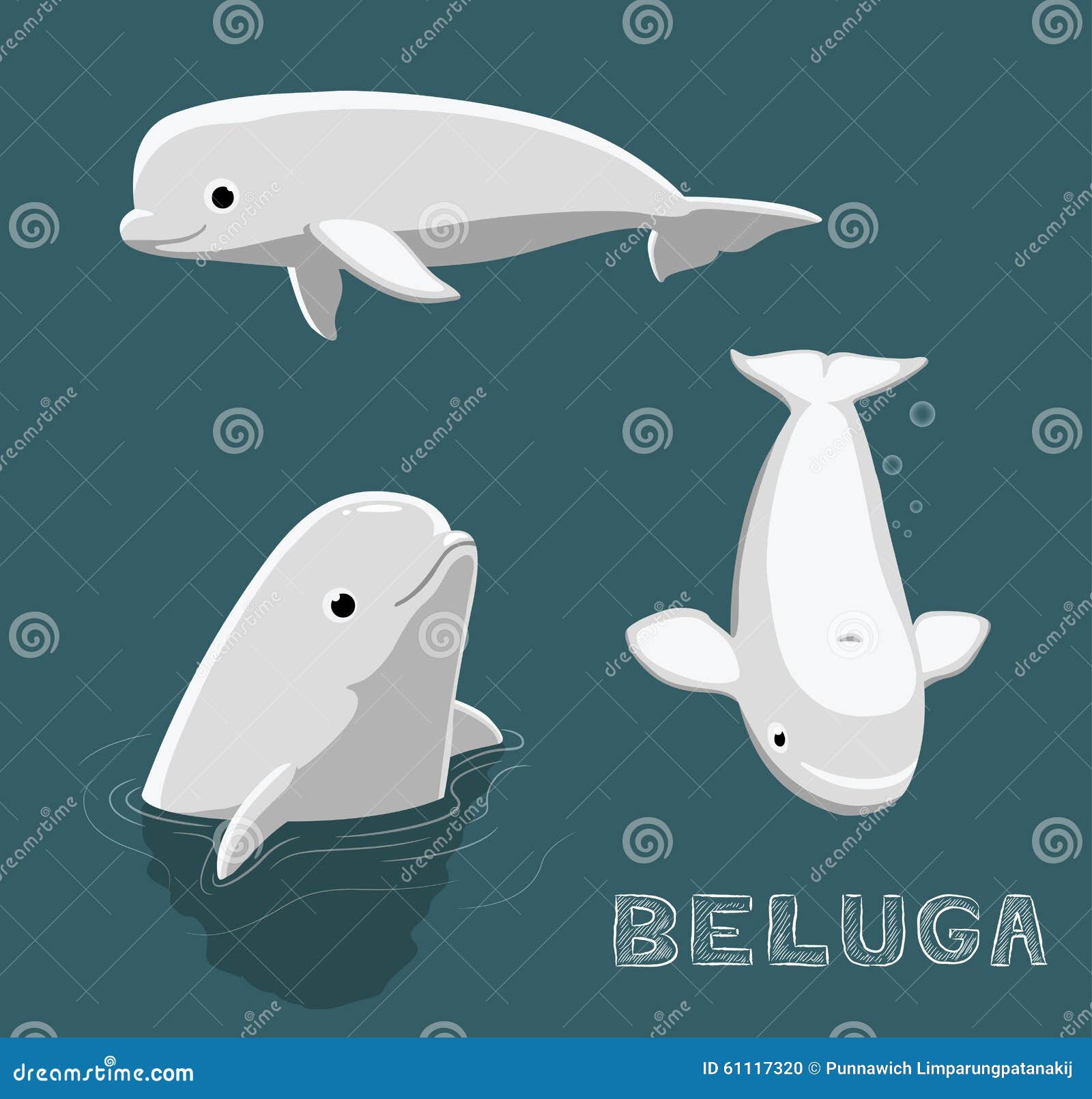 Beluga Cartoon Vector Illustration Stock Vector - Image: 61117320