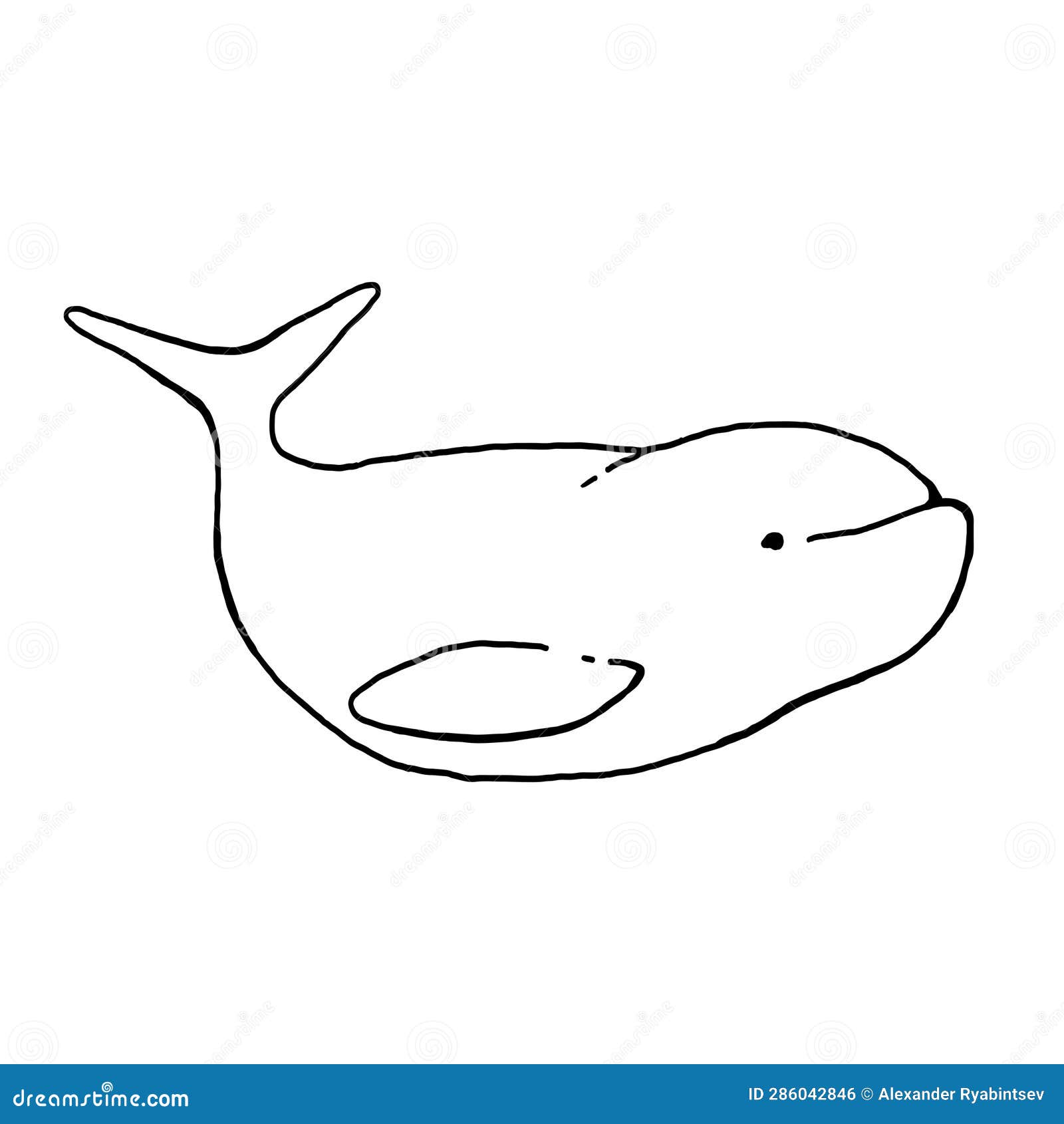 Beluga Illustration, Drawing, Engraving, Ink, Line Art, Vector ...