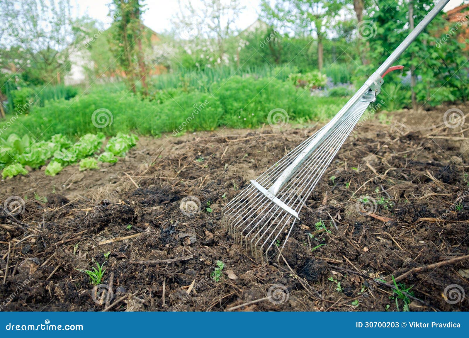 Bemesting met compost stock afbeelding. Image of hulpmiddel - 30700203