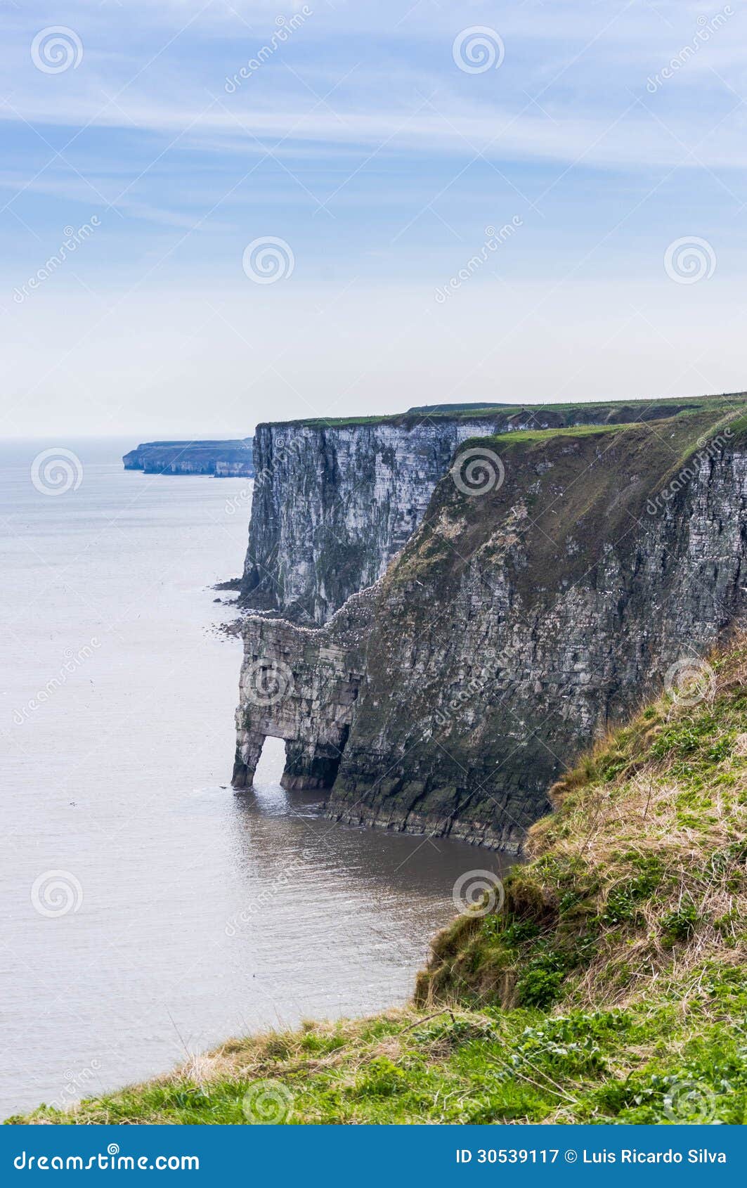 Bempton cliffs 2 stock image. Image of bempton, riding - 30539117