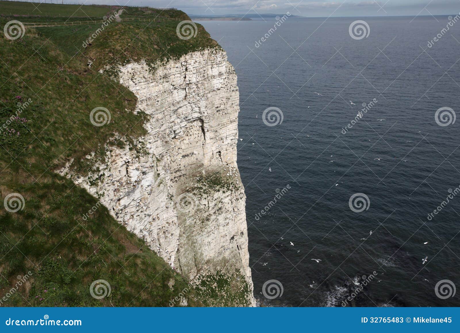 Bempton Cliffs, RSPB Reserve Stock Image - Image of promontory, inlet ...