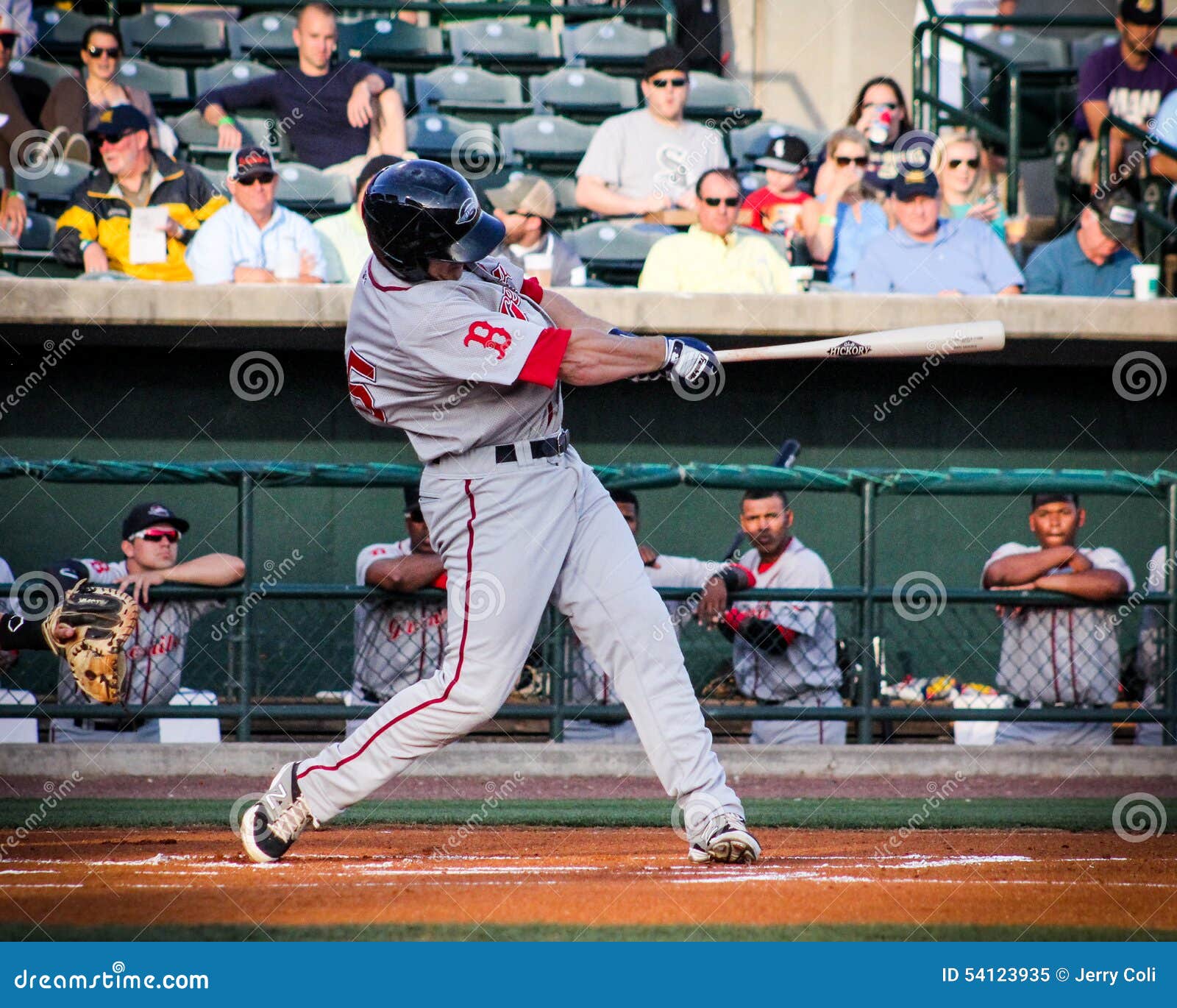Greenville Drive Baseball Stadium And Skyline In Downtown Greenville ...