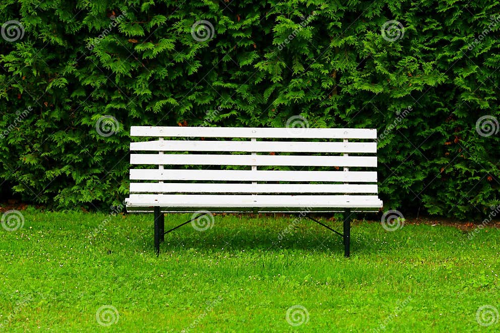 Bench stock photo. Image of relaxation, still, bench - 14826010
