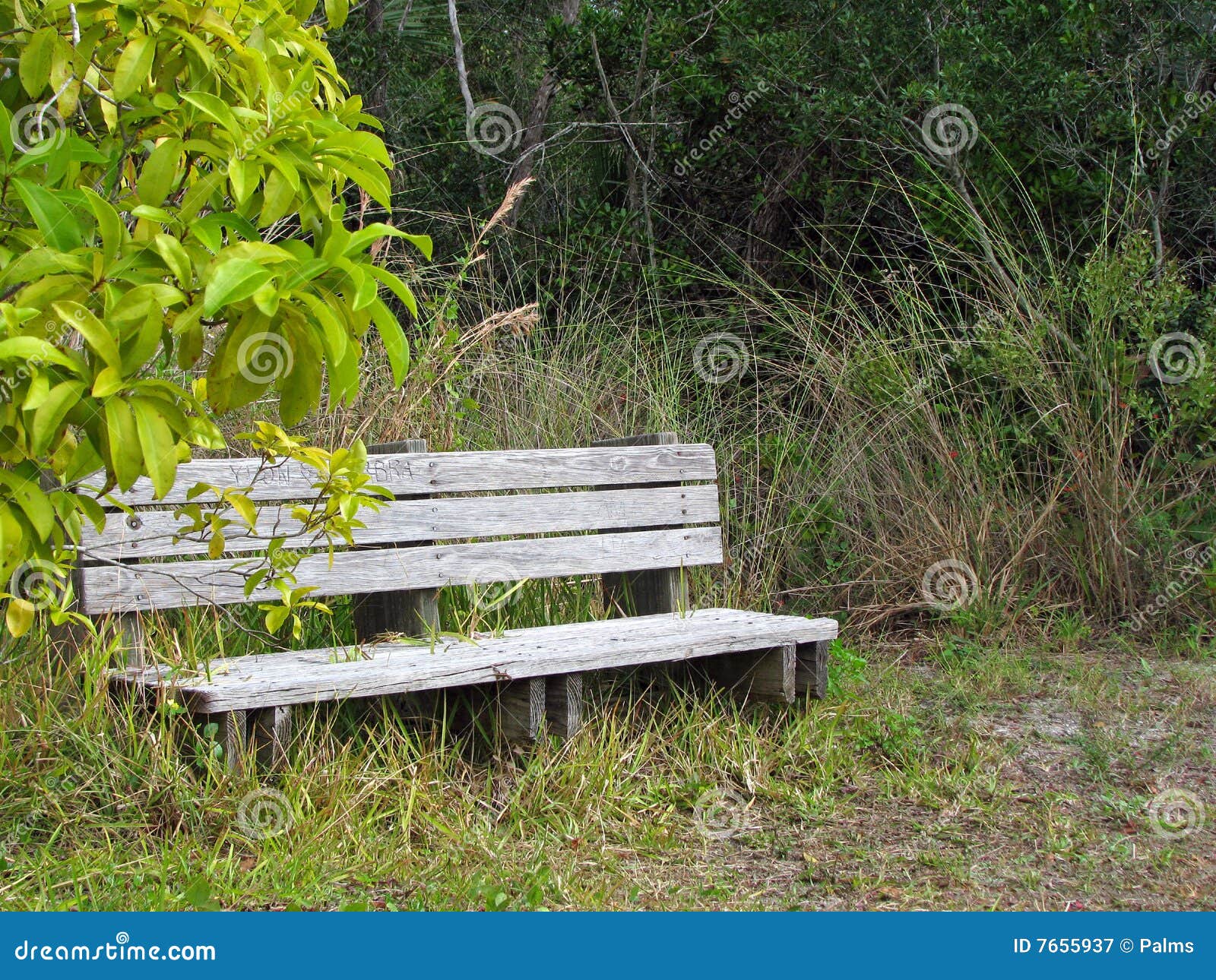 Bench stock image. Image of park, scene, conservation - 7655937