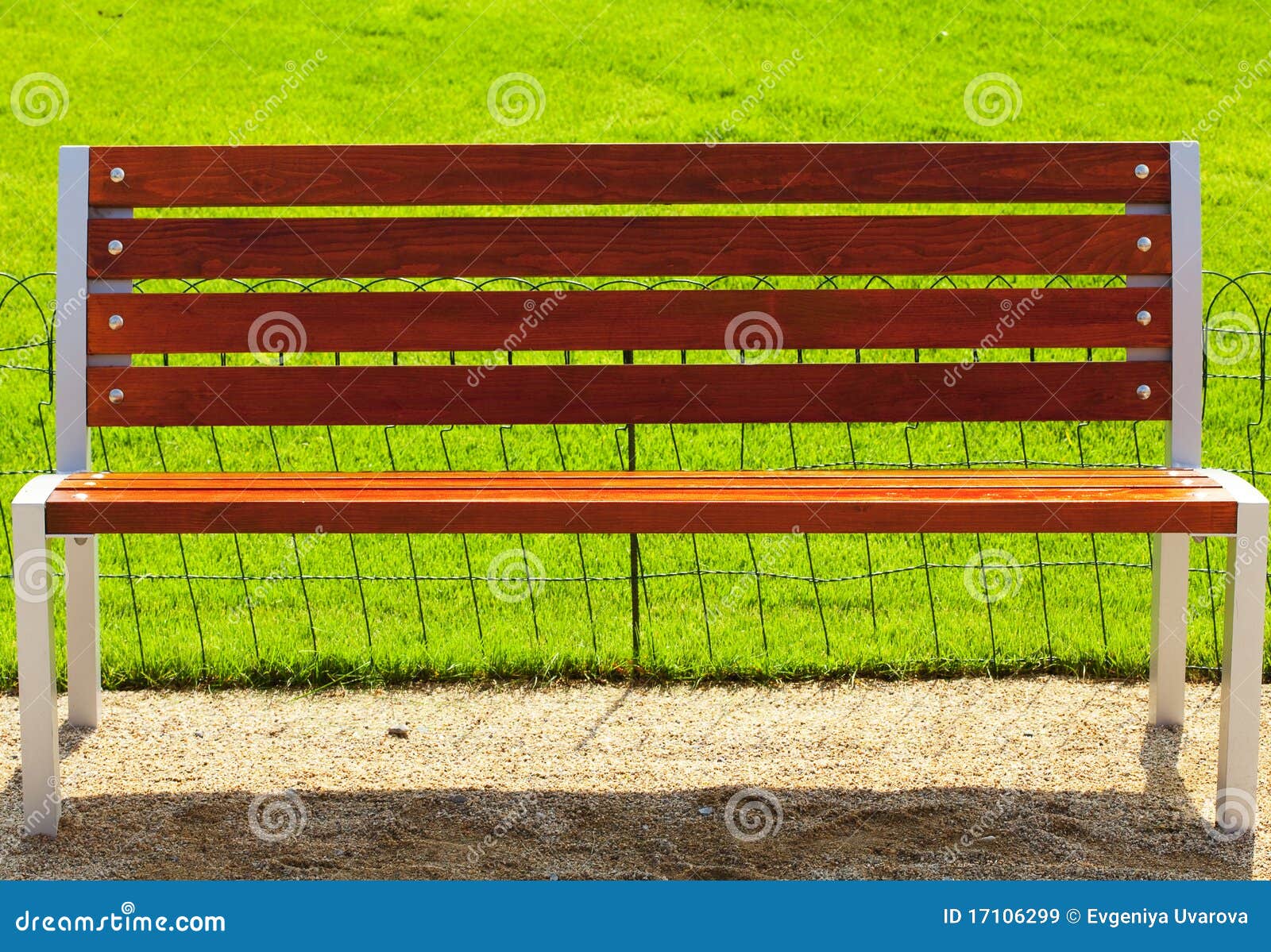Bench Against a Background of Green Grass Stock Image - Image of bench ...