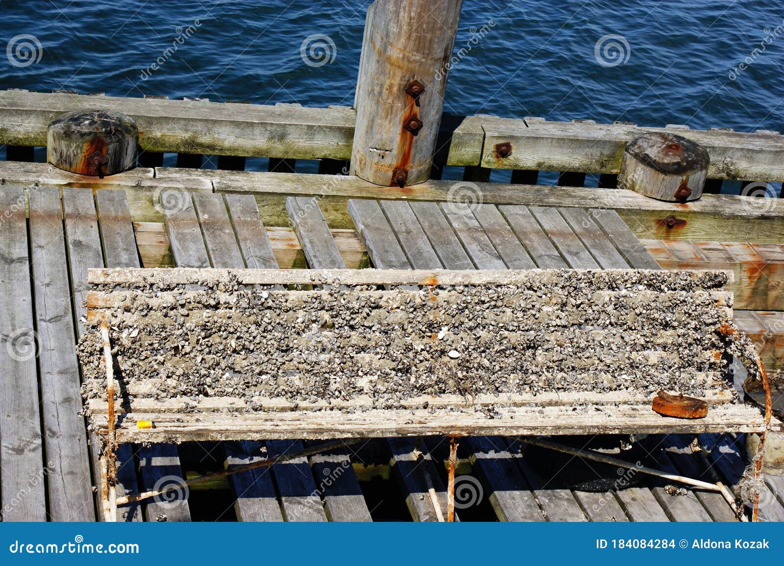 Bench Algae Covered with Algae, a Bridge Sunk in the Water Stock Photo ...