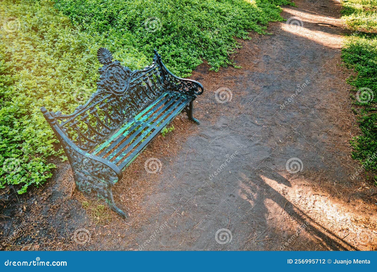 Bench Alone in the Park during the Summer Stock Photo - Image of path ...