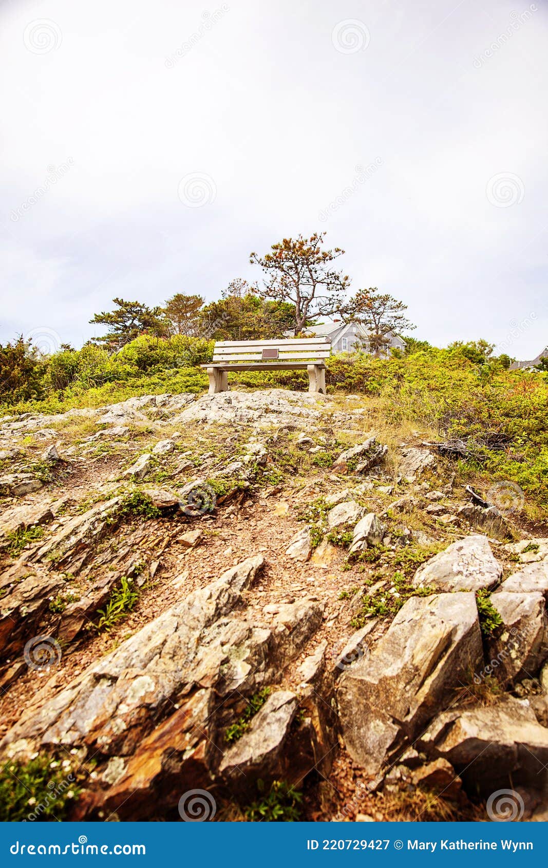 Bench on Marginal Way Path Along the Rocky Coast of Maine in Ogunquit ...