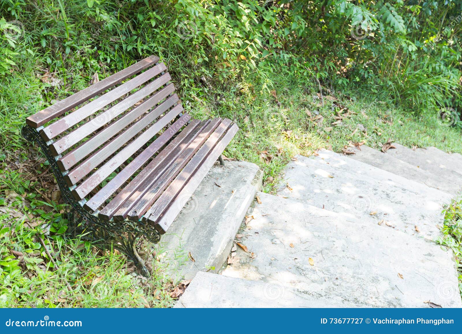 Bench Along Sidewalk in the Park. Stock Image - Image of warm, yellow ...