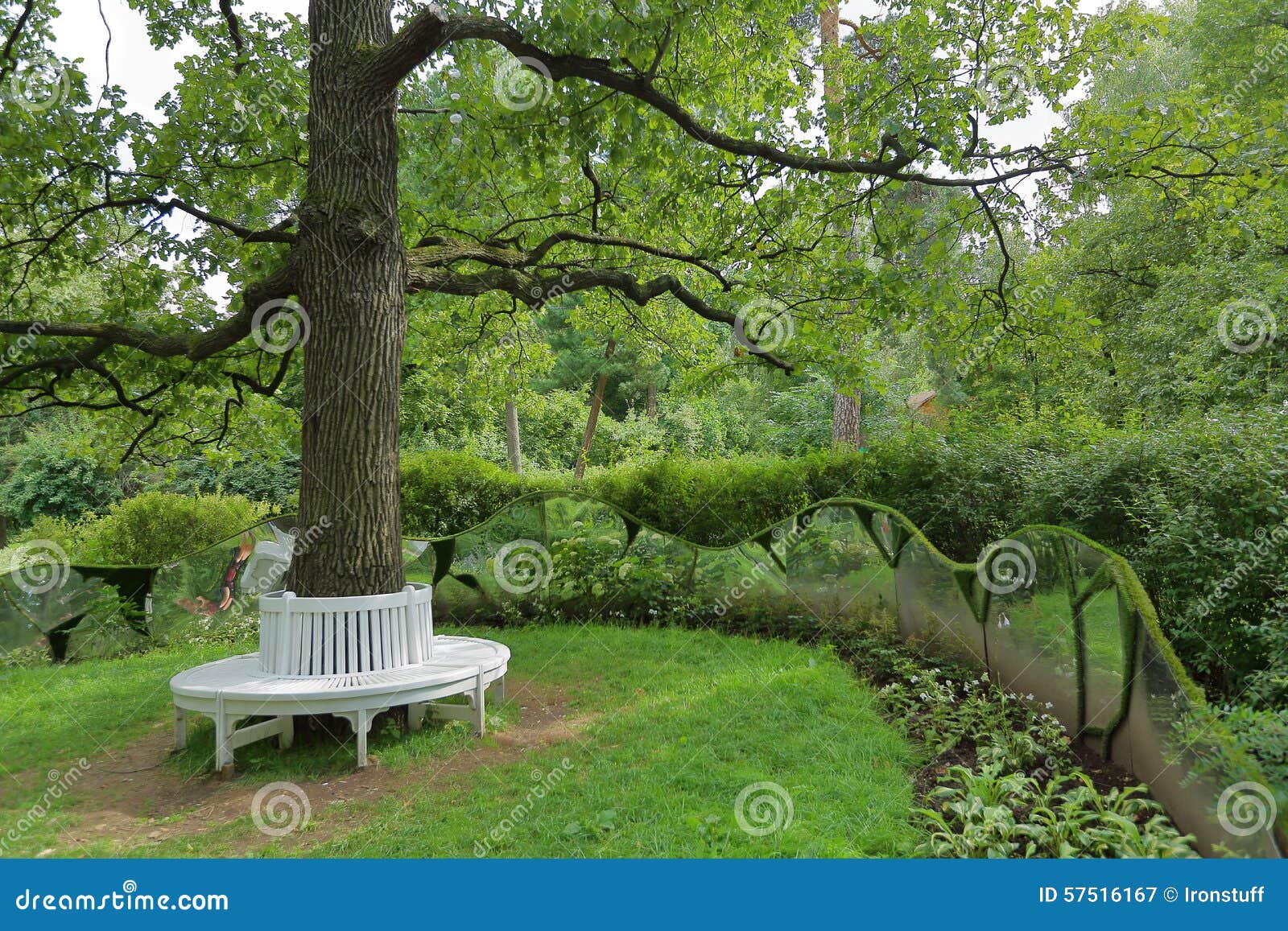 Bench around tree stock image. Image of location, woods - 57516167