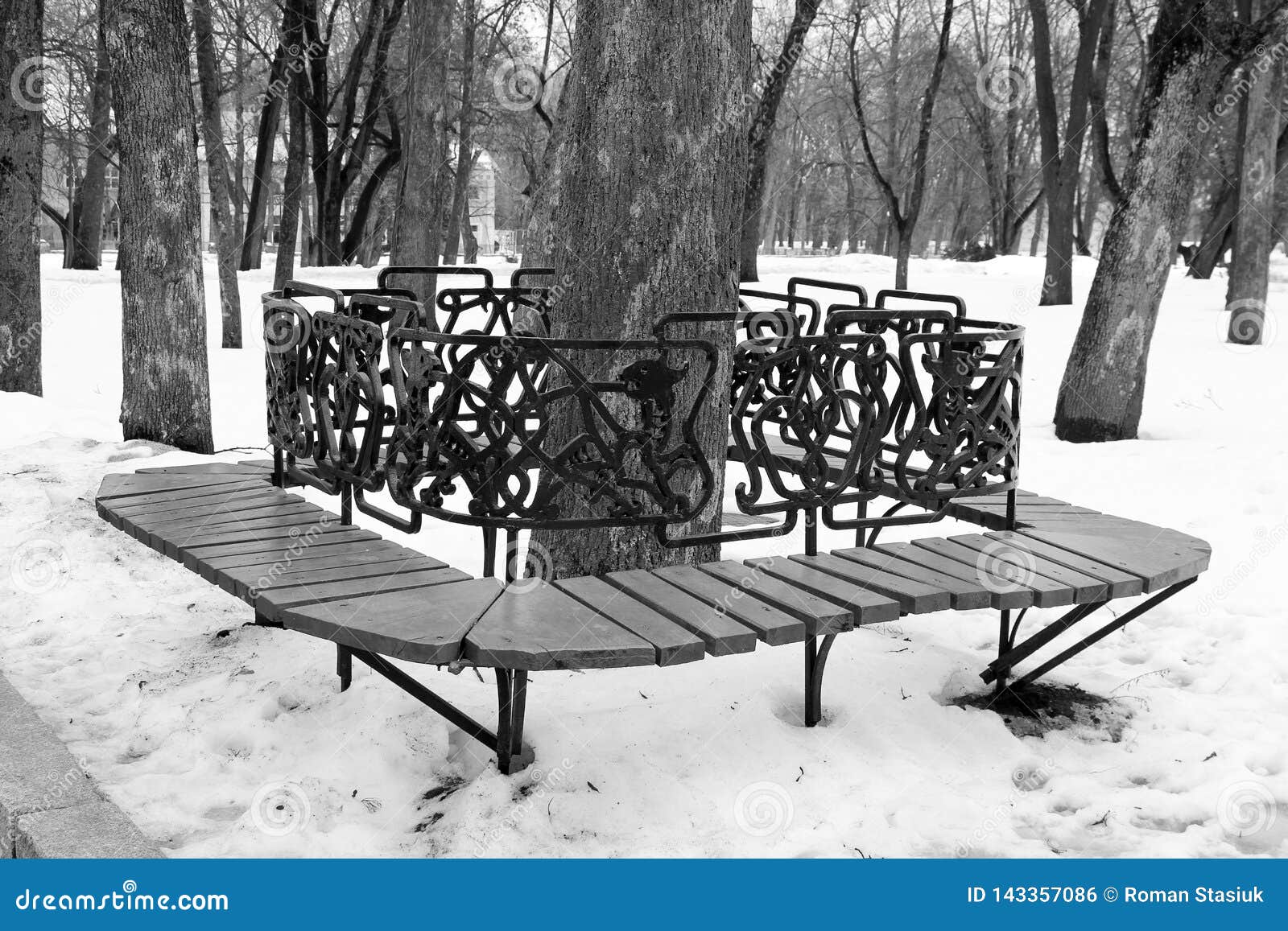 Bench Around a Tree in a Winter Park Stock Photo - Image of lights ...