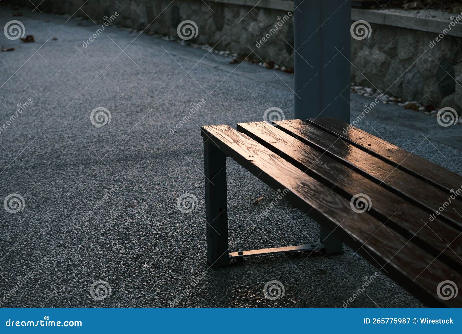 Bench on the Asphalt Pathway in a Park Stock Image - Image of rest ...