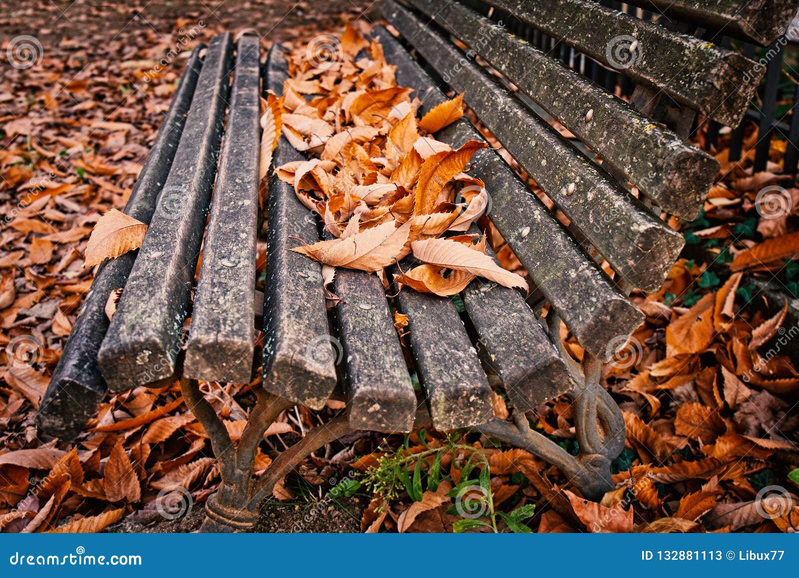 Bench with Autumn Fall Leaves Stock Image - Image of park, nature ...