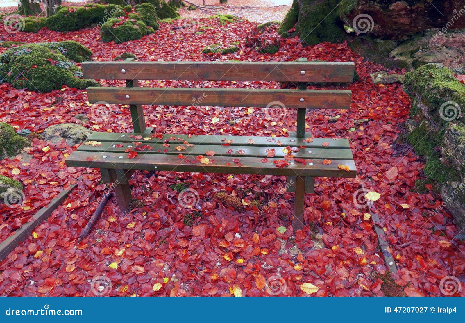 Bench in autumn stock image. Image of nature, europe - 47207027