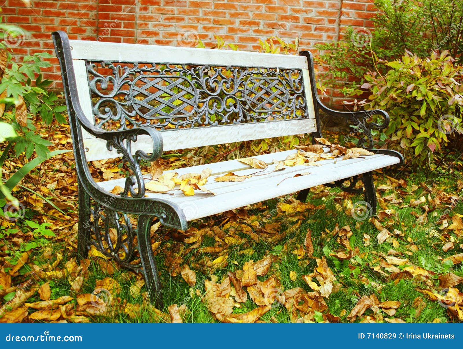 Bench in an autumn garden stock image. Image of male, leaf - 7140829