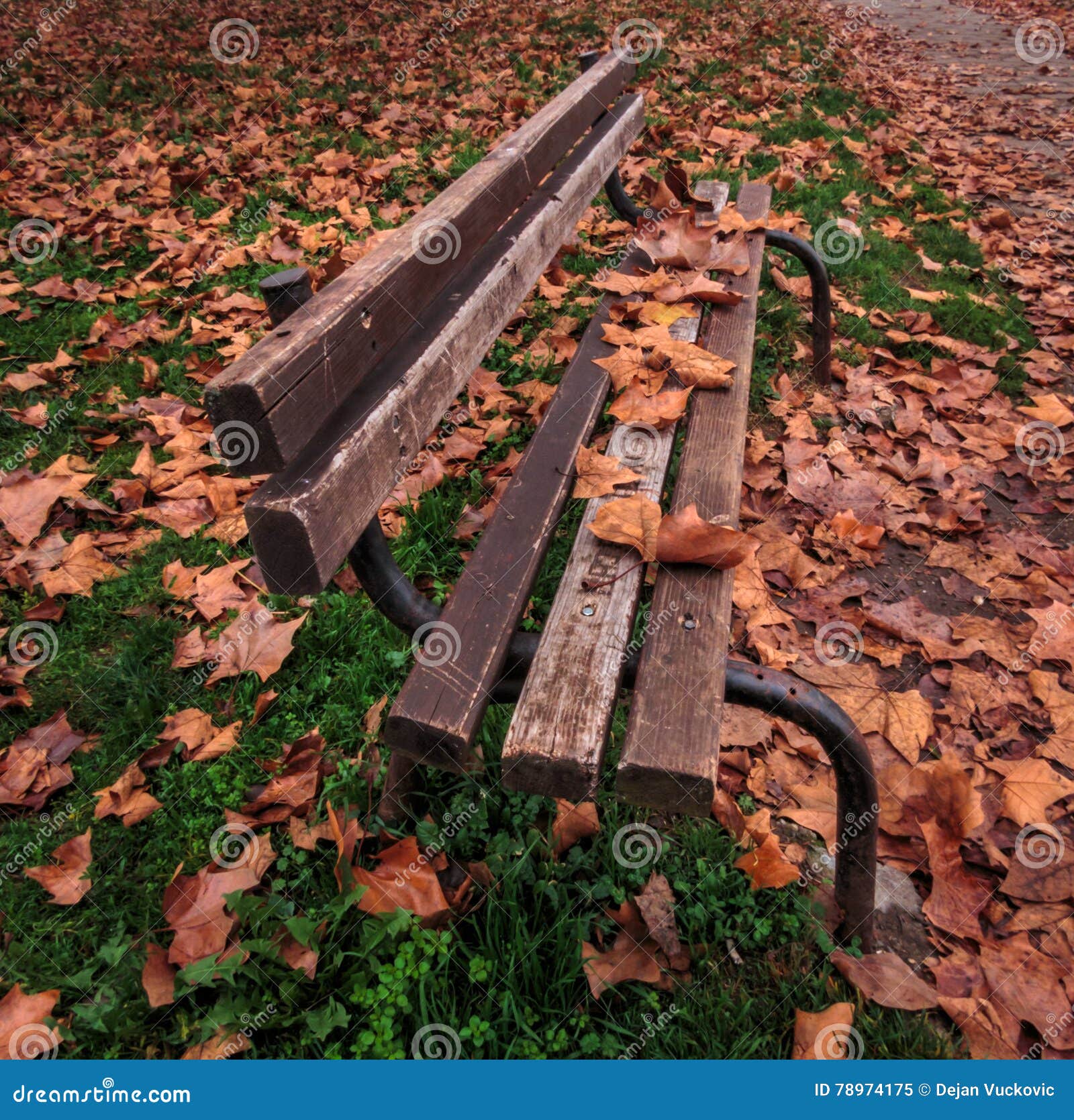Bench in autumn stock image. Image of orange, colorful - 78974175