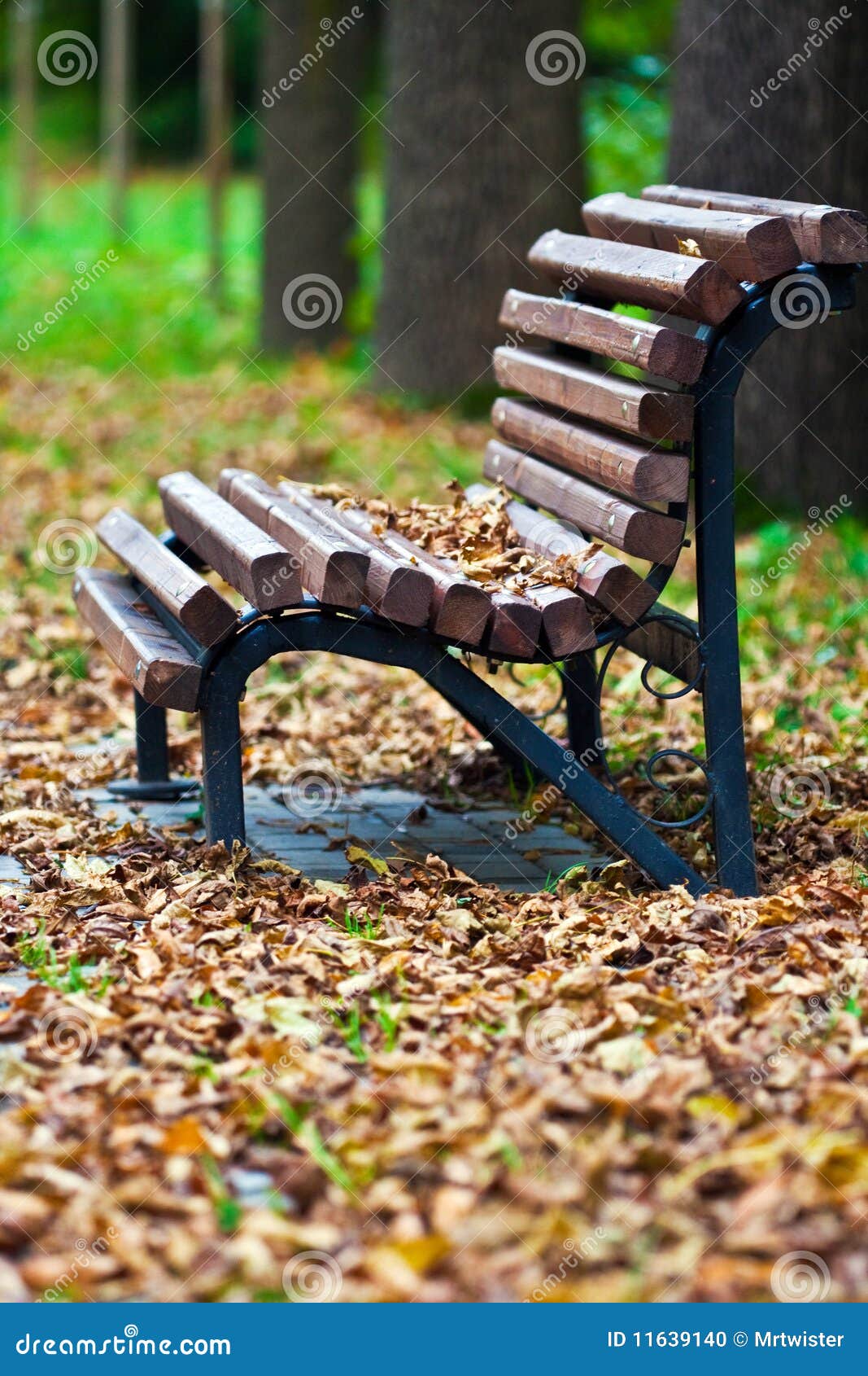 Bench in autumn park stock photo. Image of foliage, lawn - 11639140