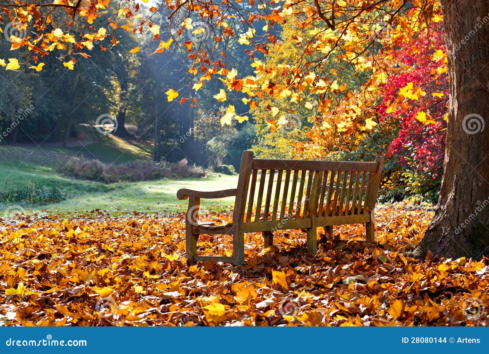 Bench In Autumn Park. Stock Images - Image: 28080144