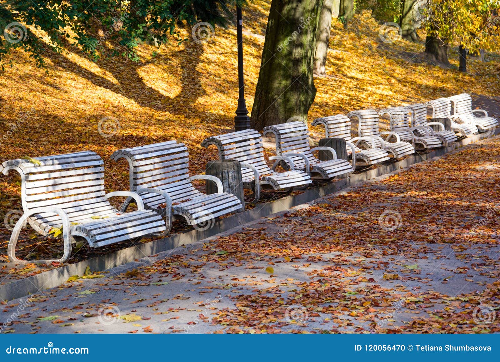 Bench in Autumn Park. Autumn Fall Stock Photo - Image of leaf, outdoor ...