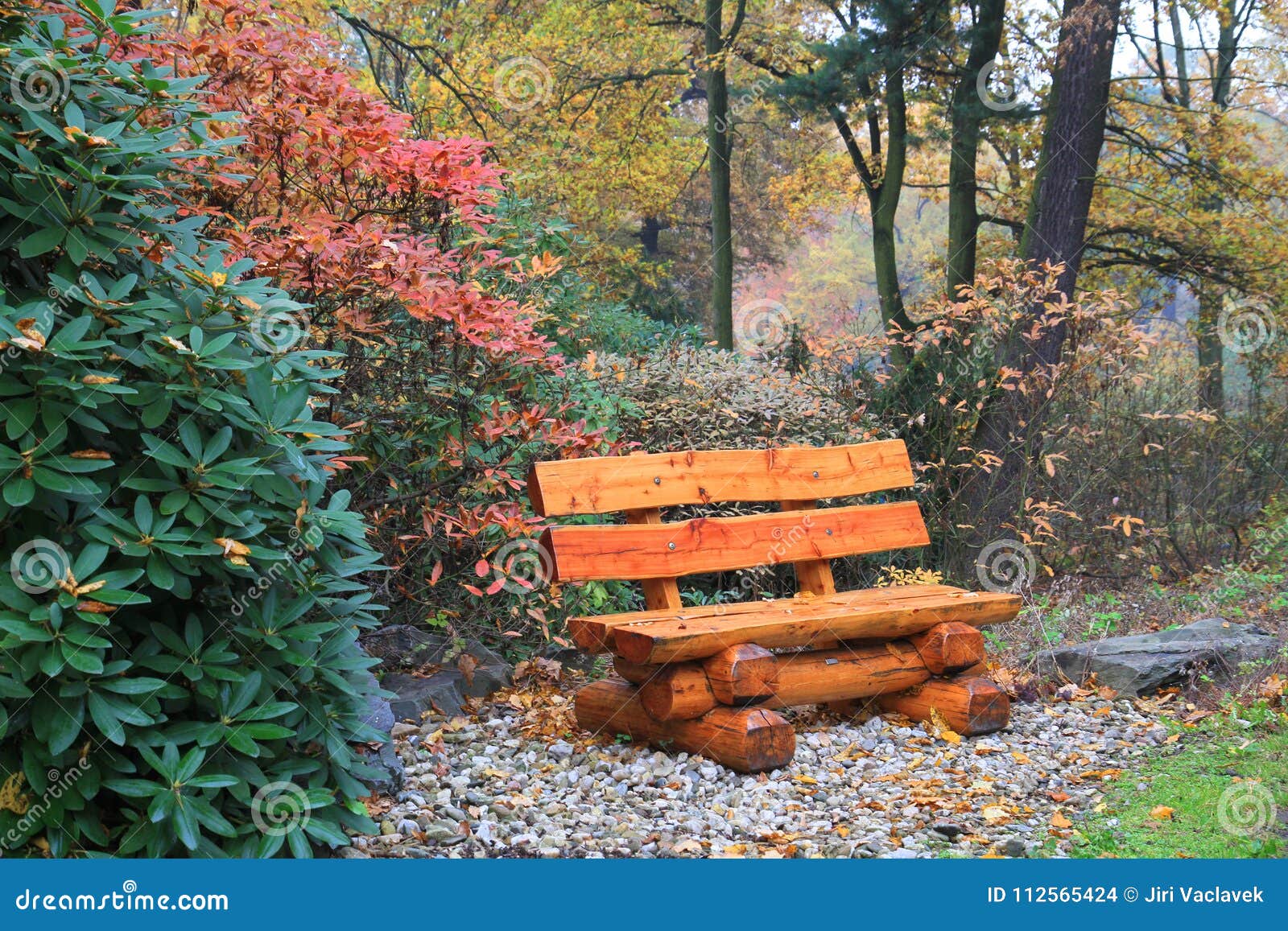 Bench in the autumn park stock photo. Image of orange - 112565424