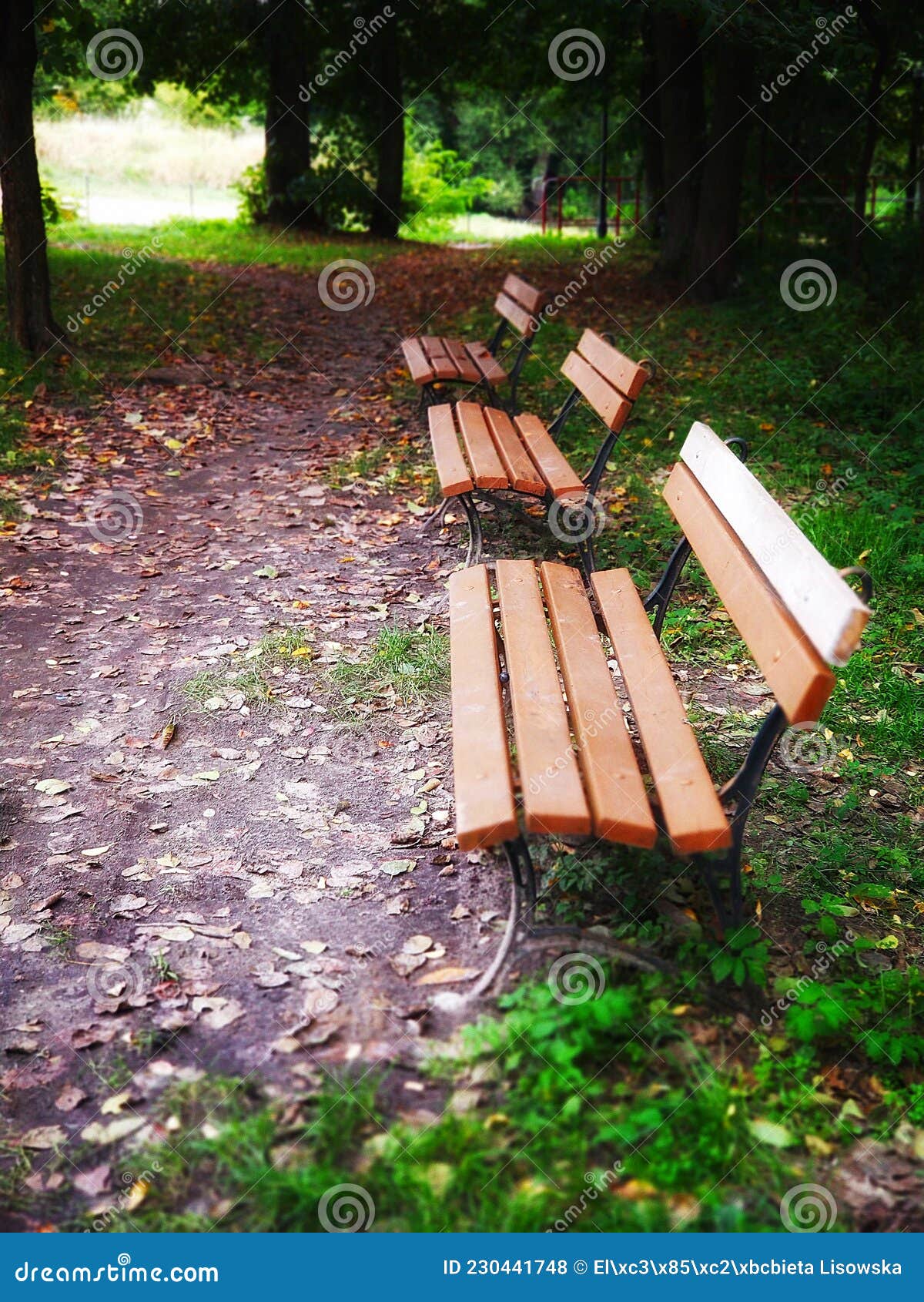 Bench in the autumn park stock photo. Image of forest - 230441748