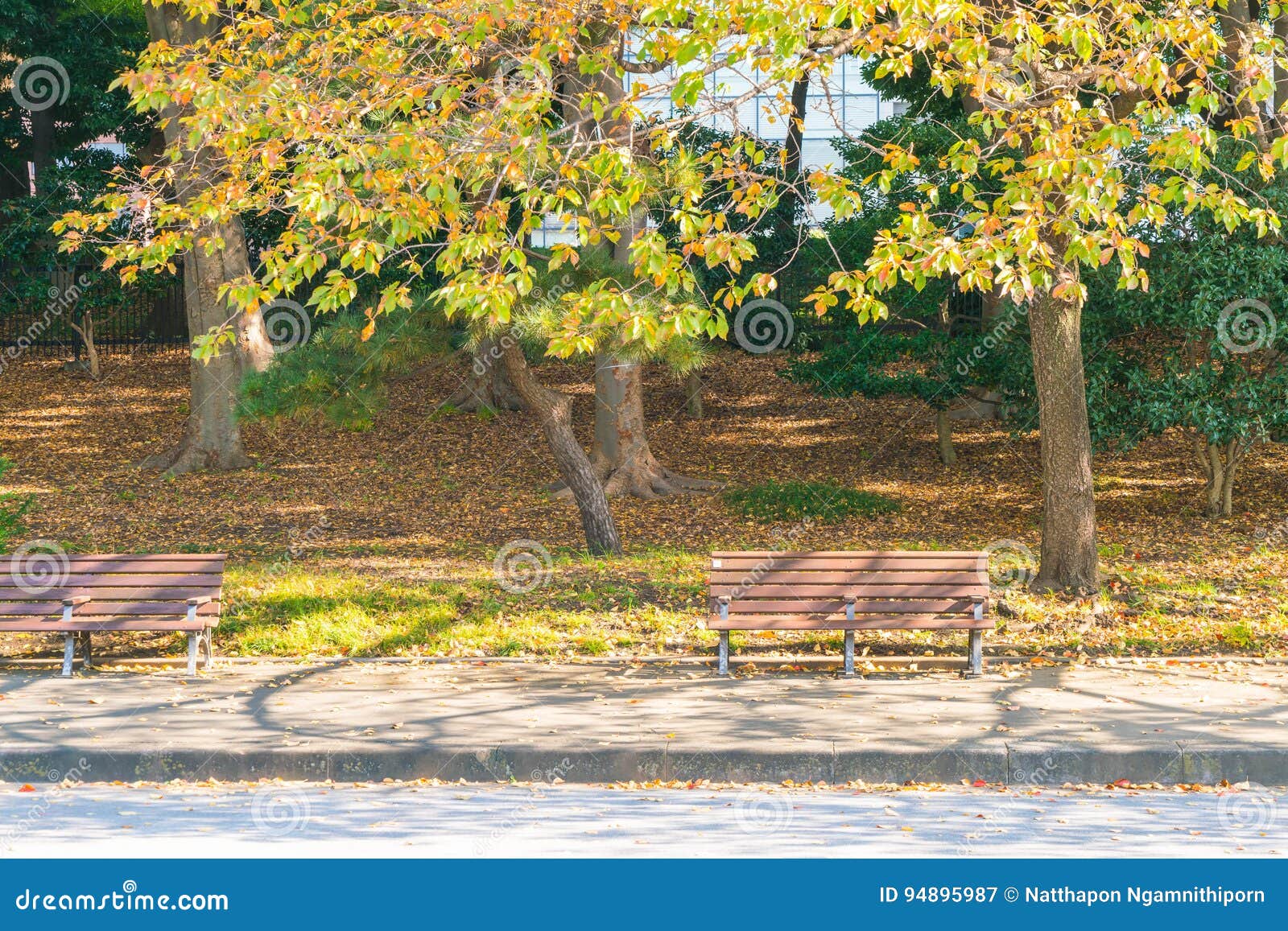 Bench in autumn park stock image. Image of grass, empty - 94895987
