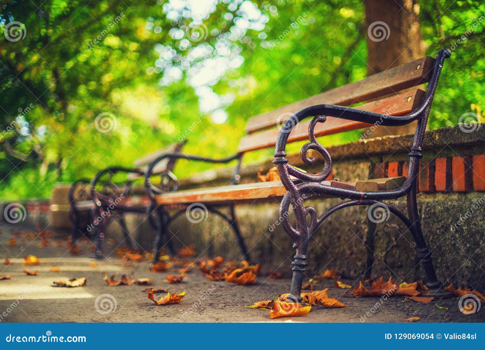 Bench in Autumn Park. Autumn Landscape Stock Photo - Image of leaf ...