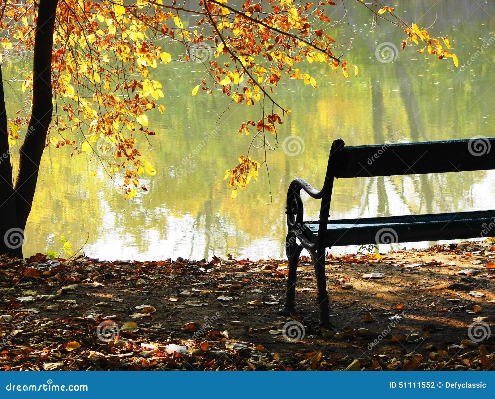 Bench in autumn park stock photo. Image of foliage, life - 51111552