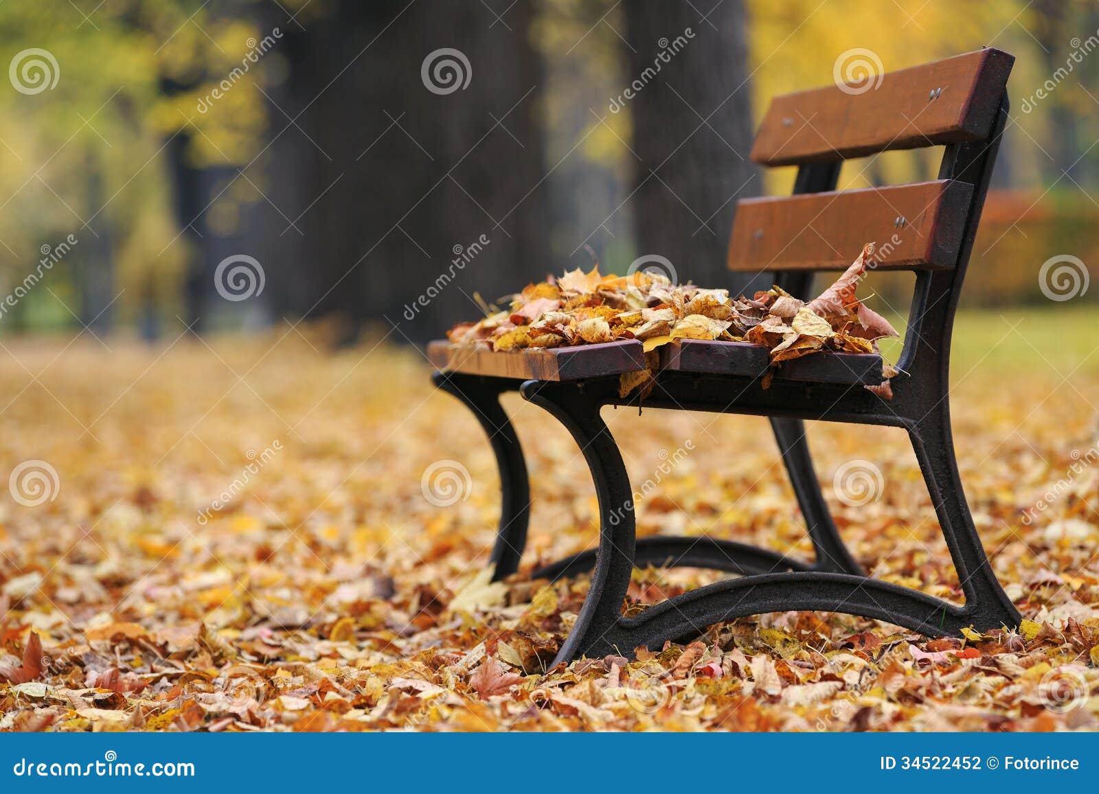 Bench in autumn park stock photo. Image of bench, nature - 34522452