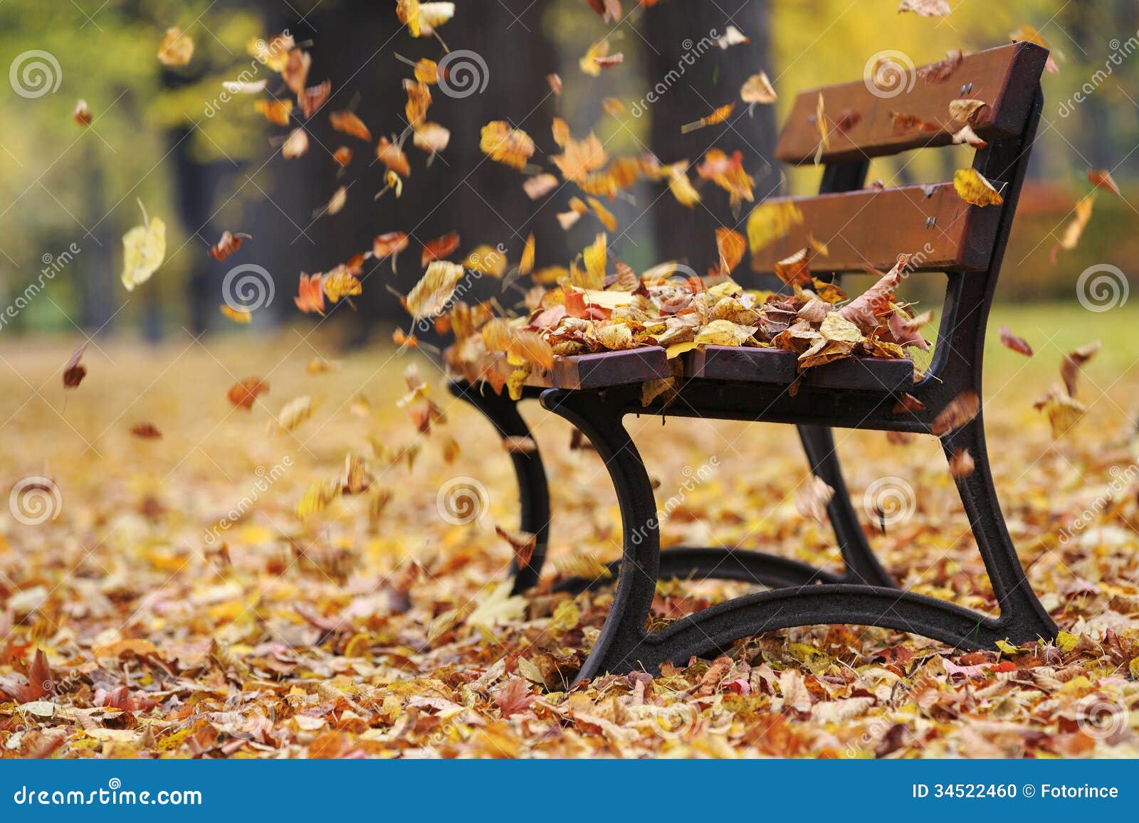 Bench in autumn park stock photo. Image of leaf, relax - 34522460