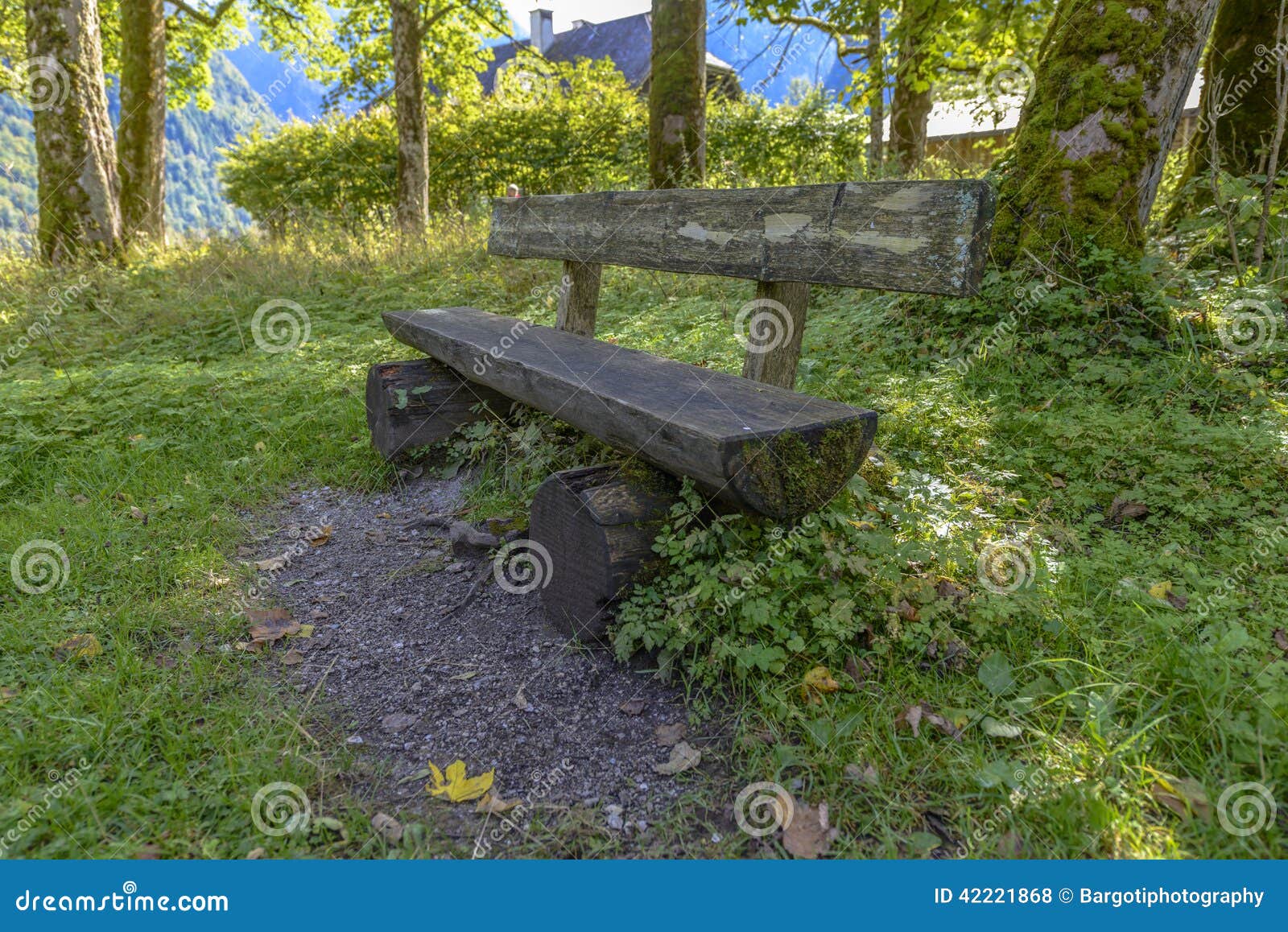 Bench in Bavaria, Germany stock photo. Image of woods - 42221868