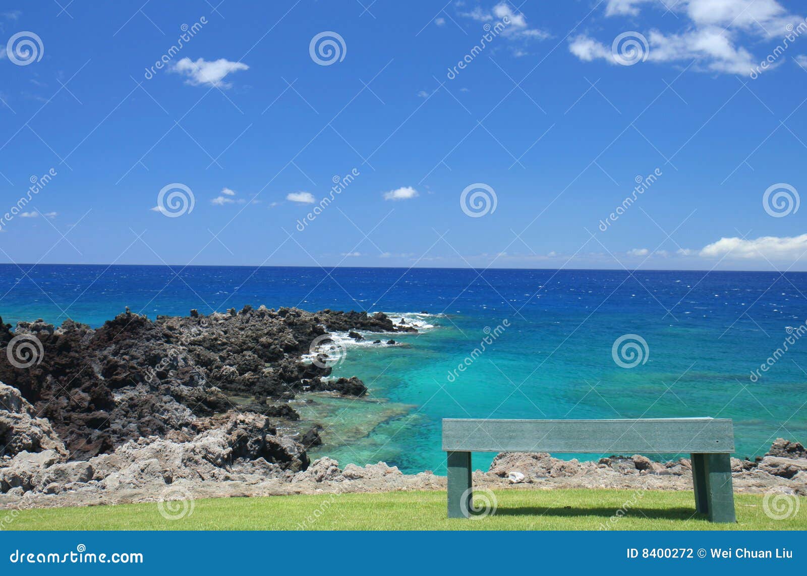 Bench at the beach stock photo. Image of paradise, chair - 8400272