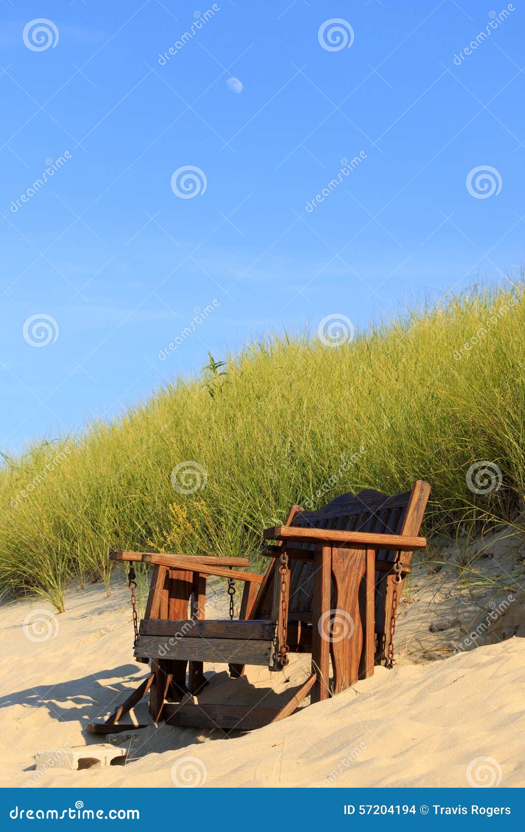 Bench at the Beach stock photo. Image of grass, virginia - 57204194
