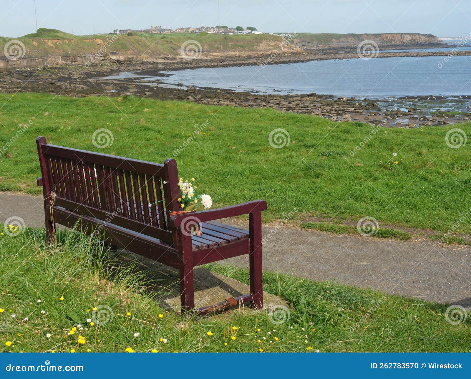 Bench on the Beach Overlooking the Sea Stock Photo - Image of coast ...