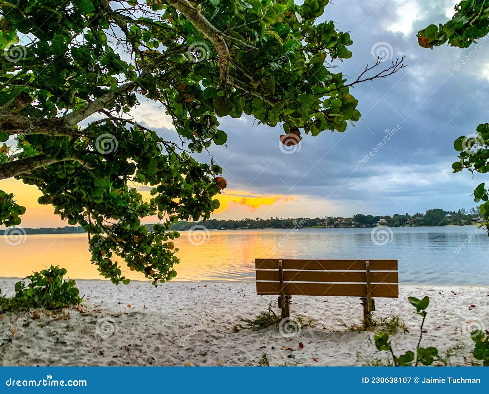 Bench on the Beach at Sunset Stock Image - Image of tropical, florida ...