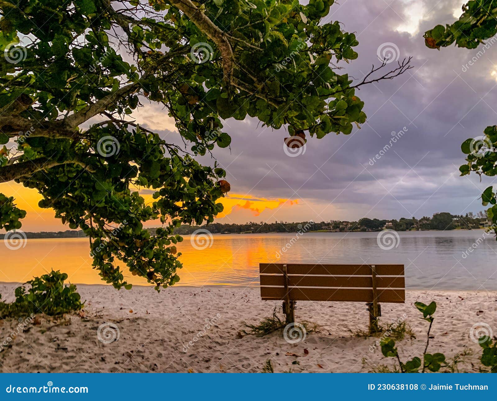 Bench on the Beach at Sunset Stock Photo - Image of alone, island ...