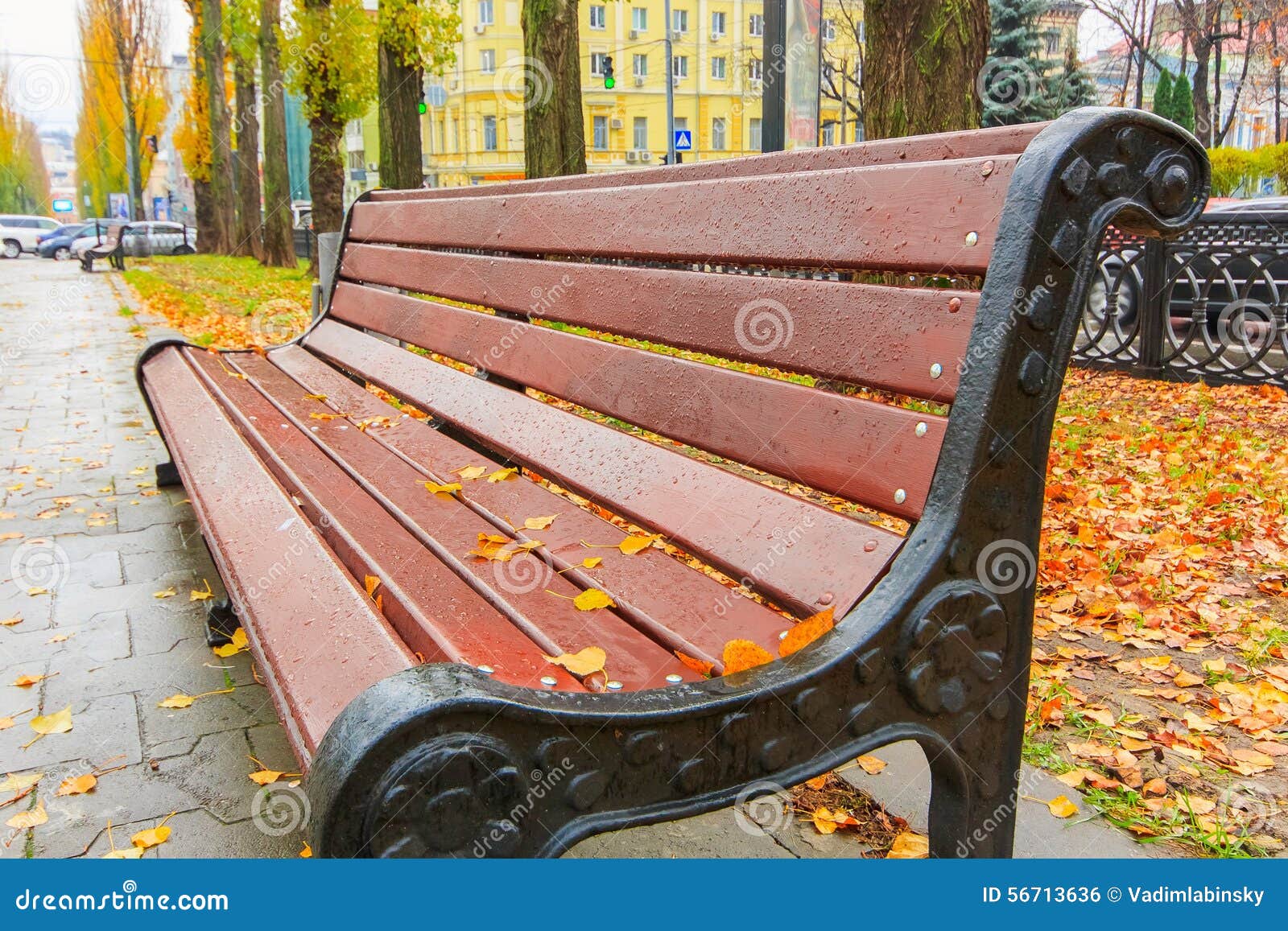 Bench in the Beautiful Autumn Park after Rain Stock Photo - Image of ...