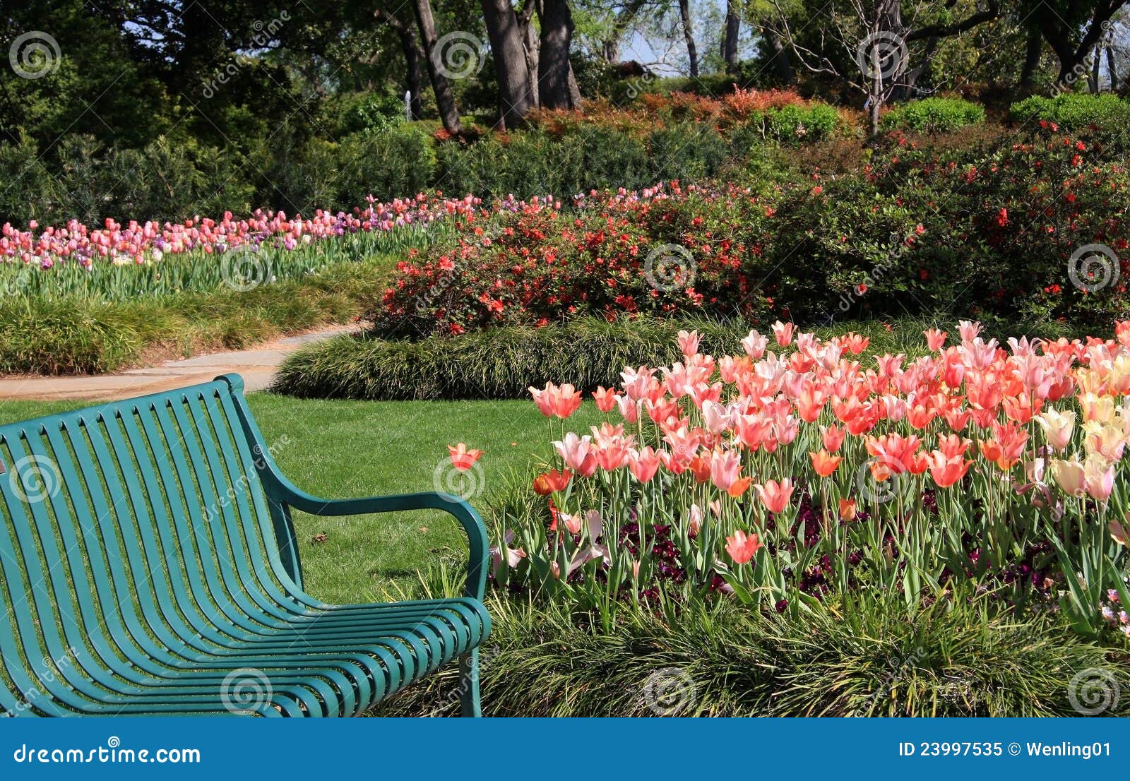 Bench in the Beautiful Garden Stock Image - Image of outdoor, benches ...