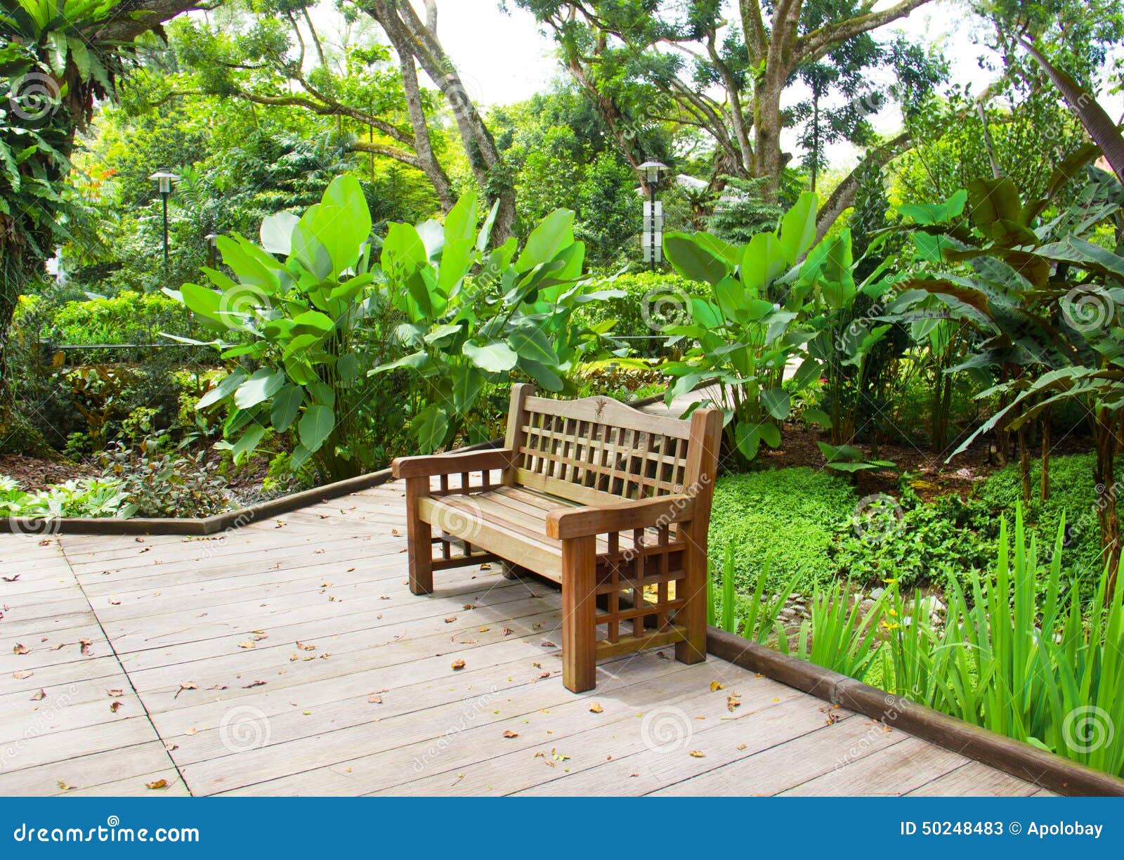 Bench in a beautiful park stock image. Image of garden - 50248483