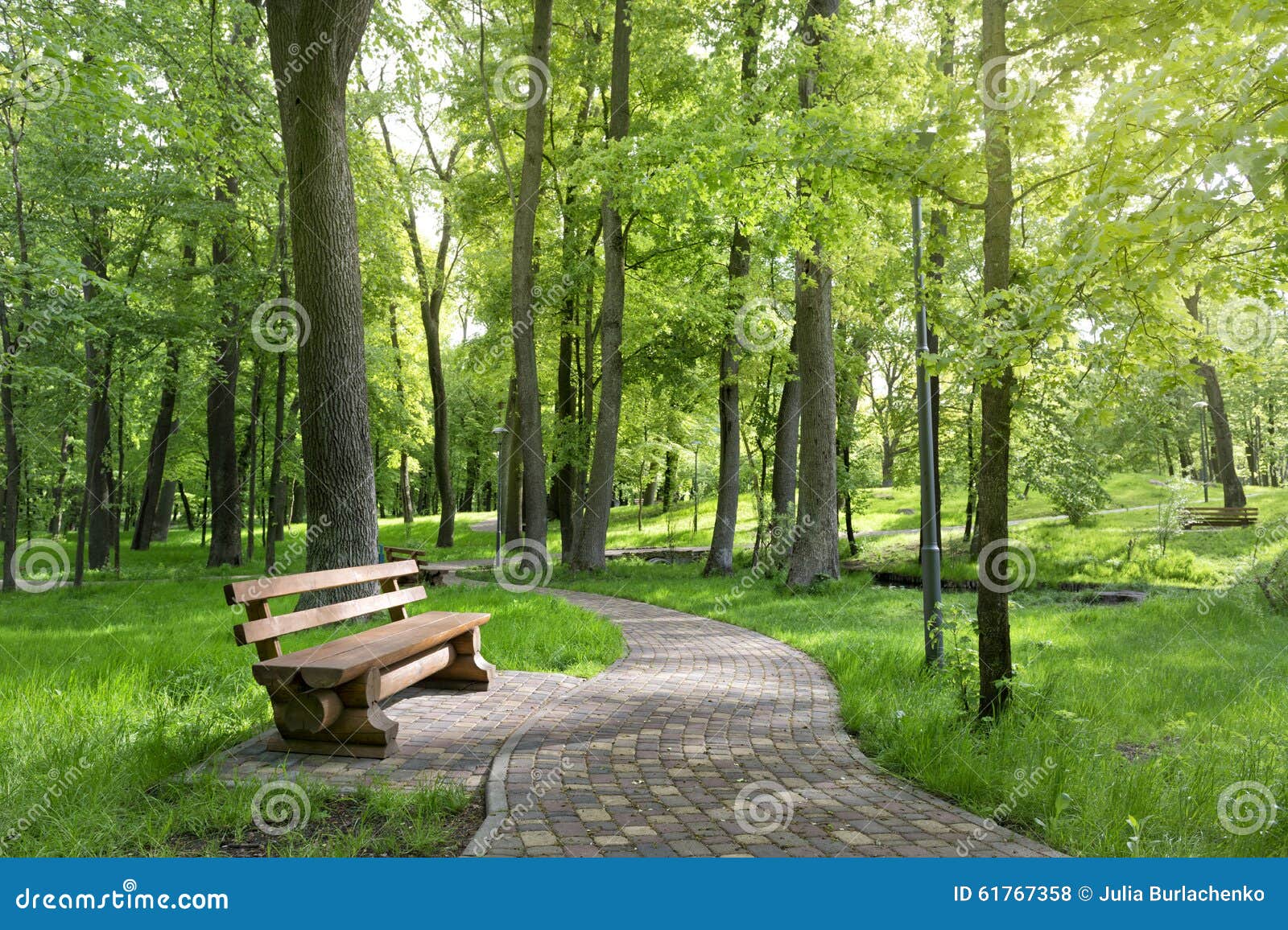 Bench in a Beautiful Summer Park Stock Photo - Image of leaf, bench ...