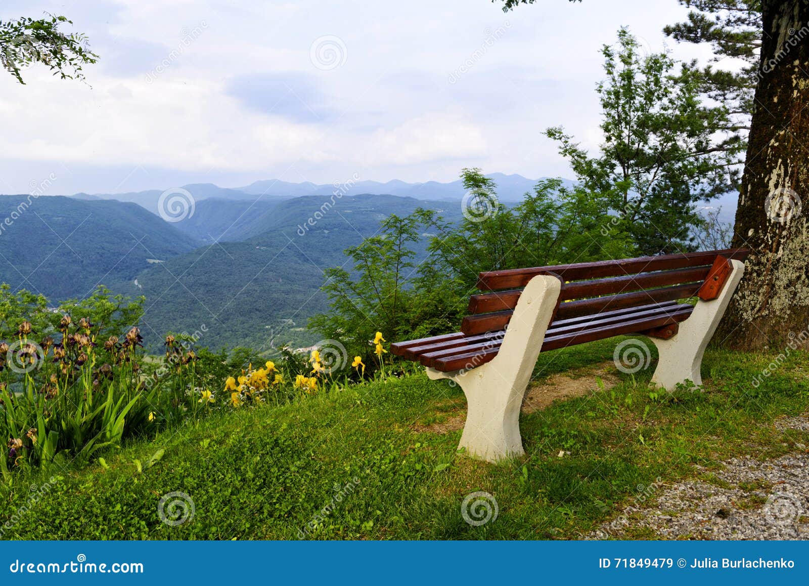 Bench with beautiful view stock image. Image of beautiful - 71849479