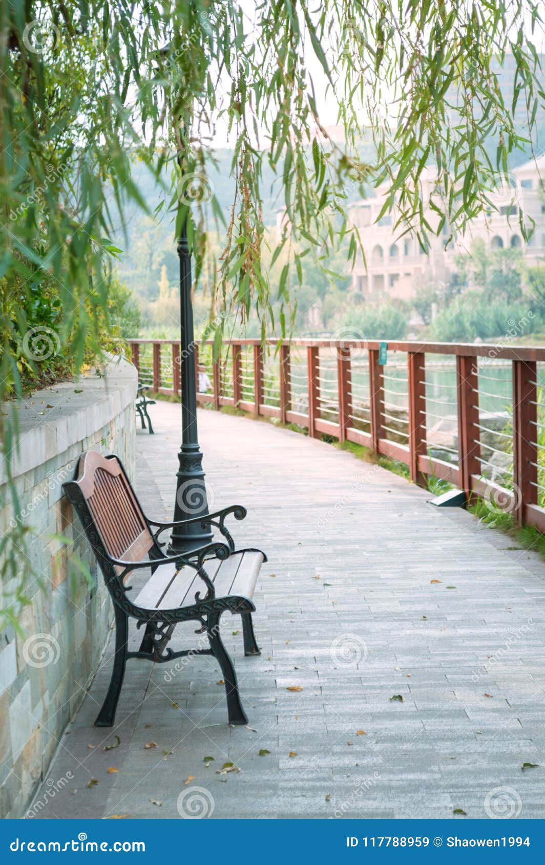 Bench below willow tree stock image. Image of relaxation - 117788959