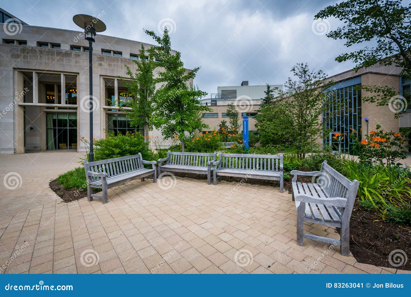 Bench and Buildings at Harvard University, in Cambridge, Massachusetts ...