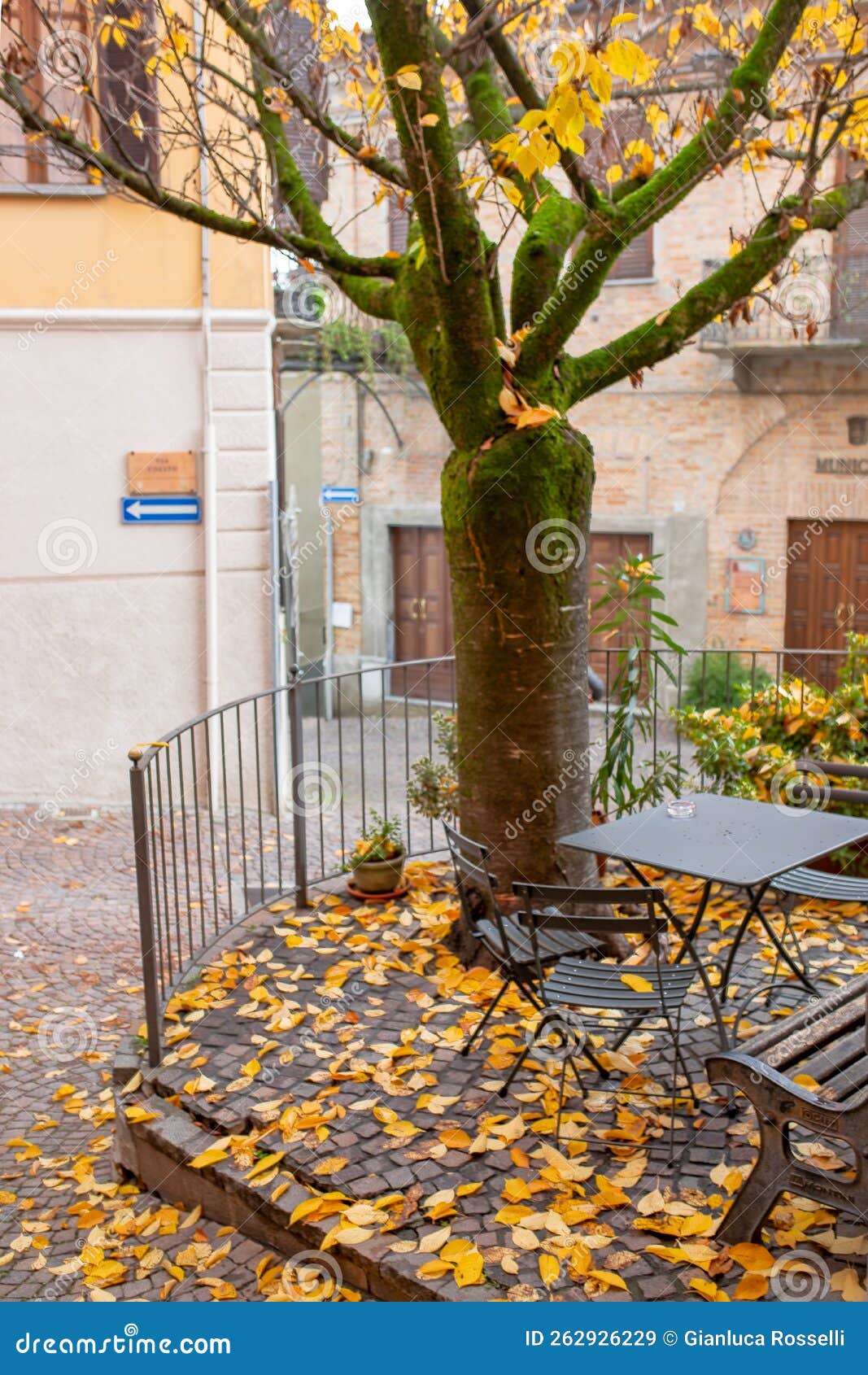 Bench with Yellow Leaves in the Central Square Stock Image - Image of ...