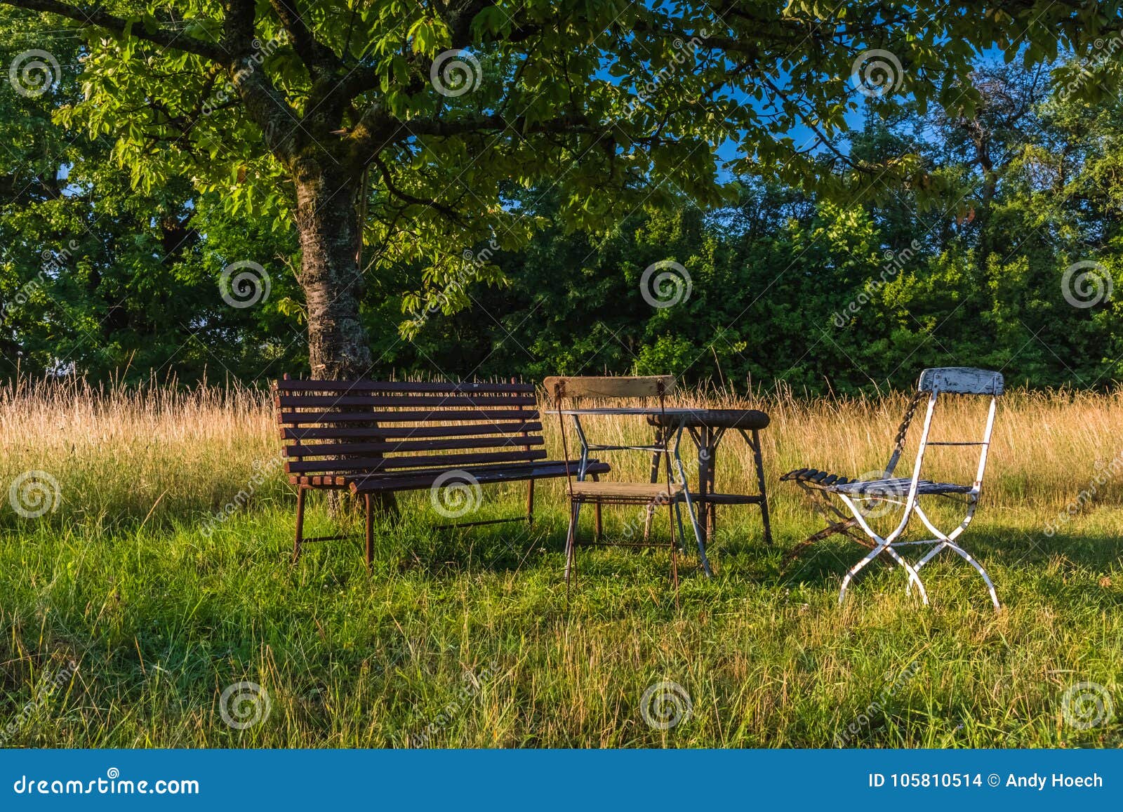 Bench chairs and a tree stock photo. Image of angular - 105810514